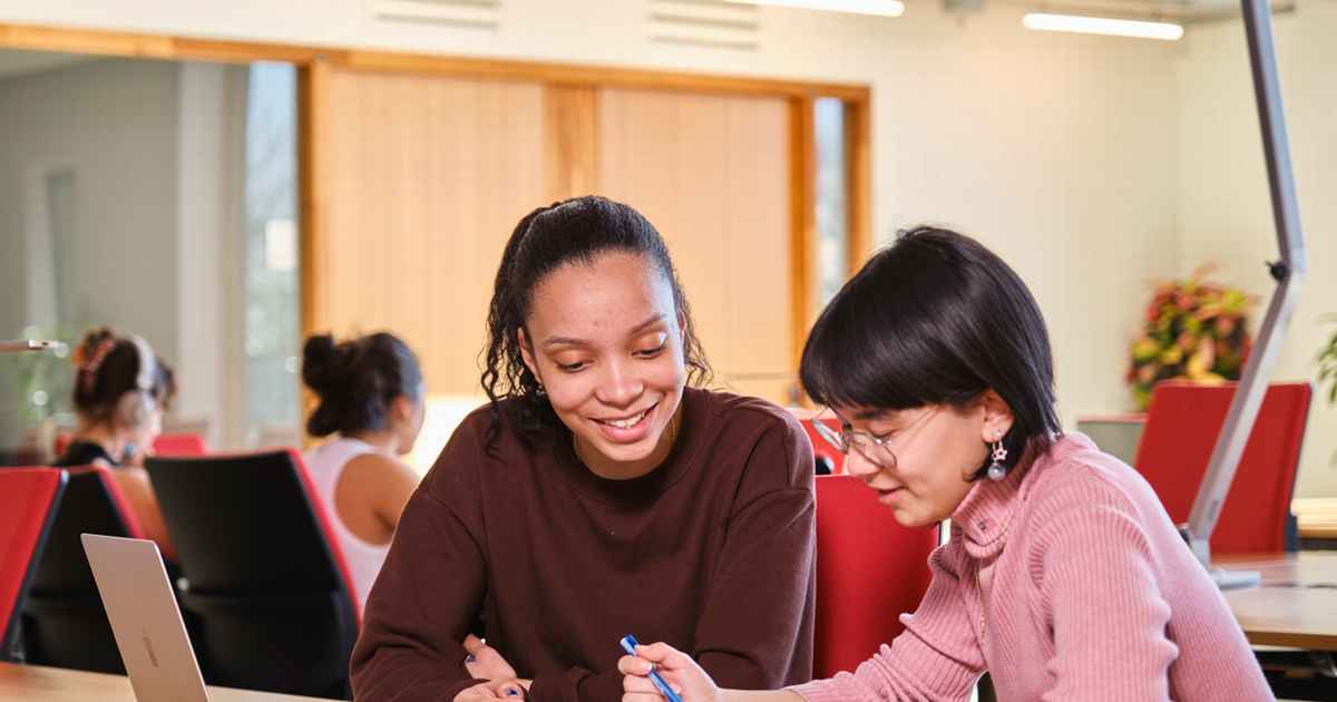 Programming requirement starting September 2024 - AUC Student Information